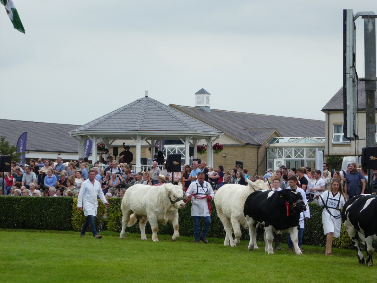 The Great Yorkshire Show – Love Travelling Blog